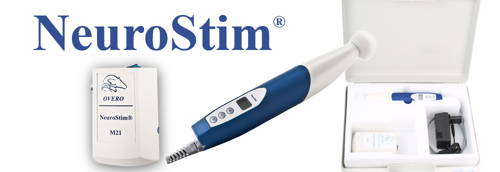 neurostim – Naturheilpraxis Tiere Hund-/Pferd-Osteopathie, Hunde ...